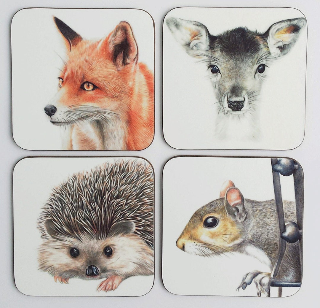 Woodland Coaster Set of 4 in Gift Box, Coaster Holder Available ...