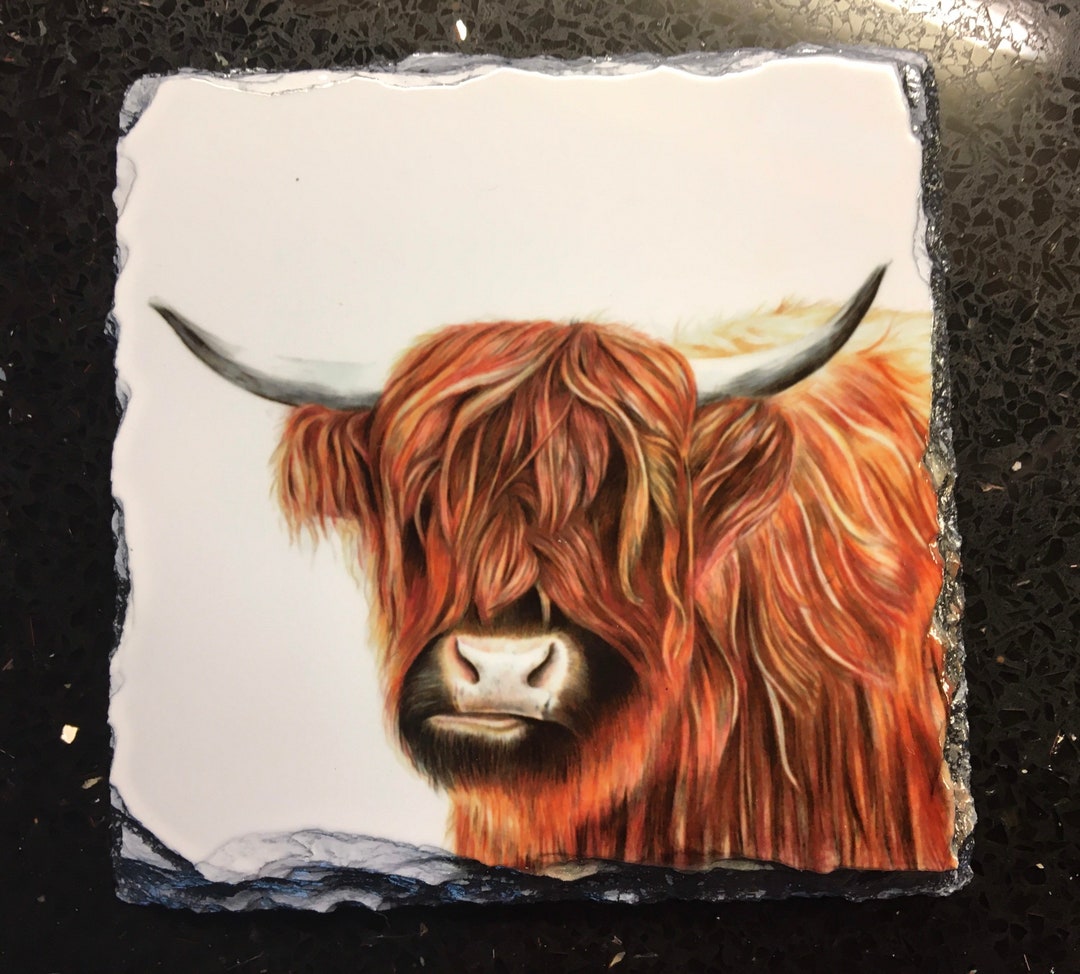Slate Highland Cow Coasters. 9.5cm X 9.5cm, Highland Cow Coasters ...