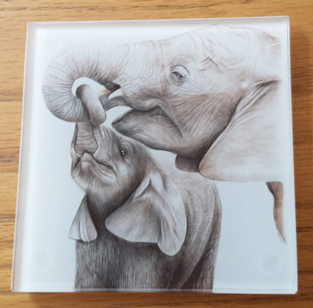 Elephant Glass Coasters, 10cm X 10cm, Set of 4 Coasters, Love Elephants ...