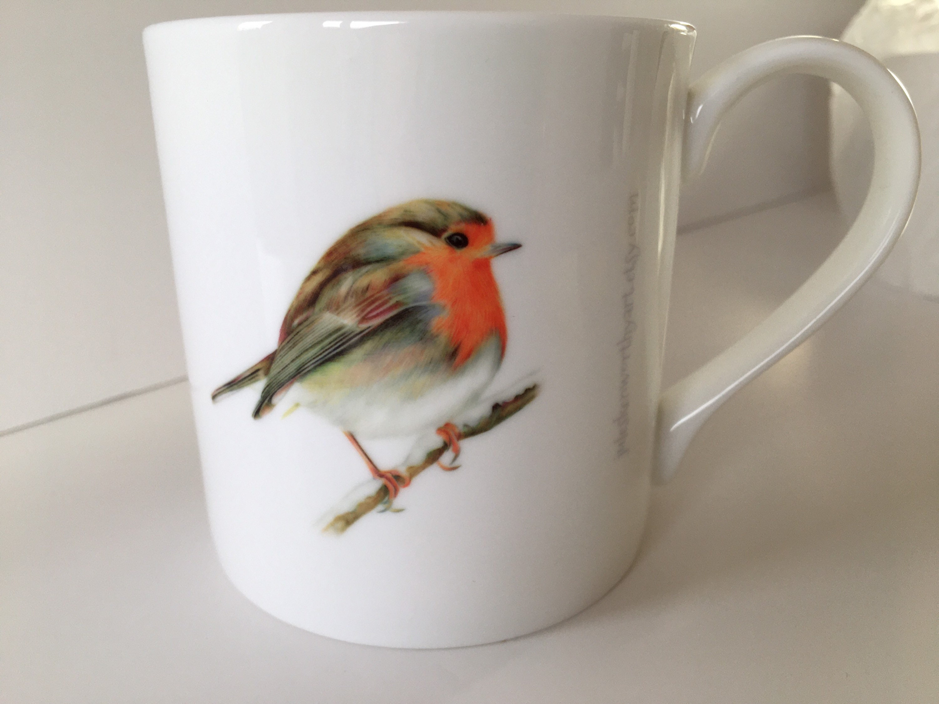 Bone China Robin Mug Gift Set, Robin Bone China Mug, Robin Illustration ...