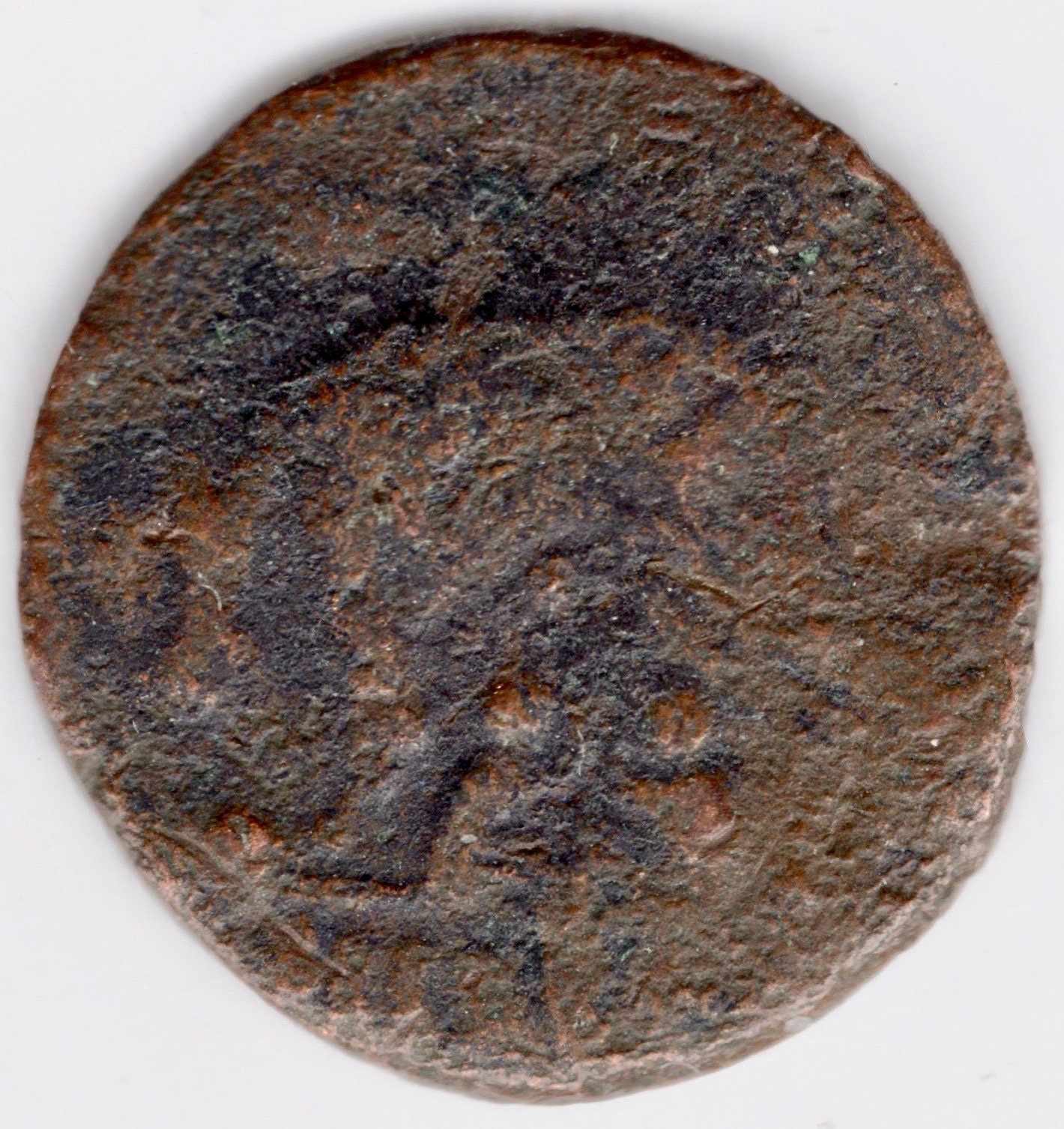 NGC Certified Roma Wolf Commemorative Constantinian, 330-340 (X30) - Etsy