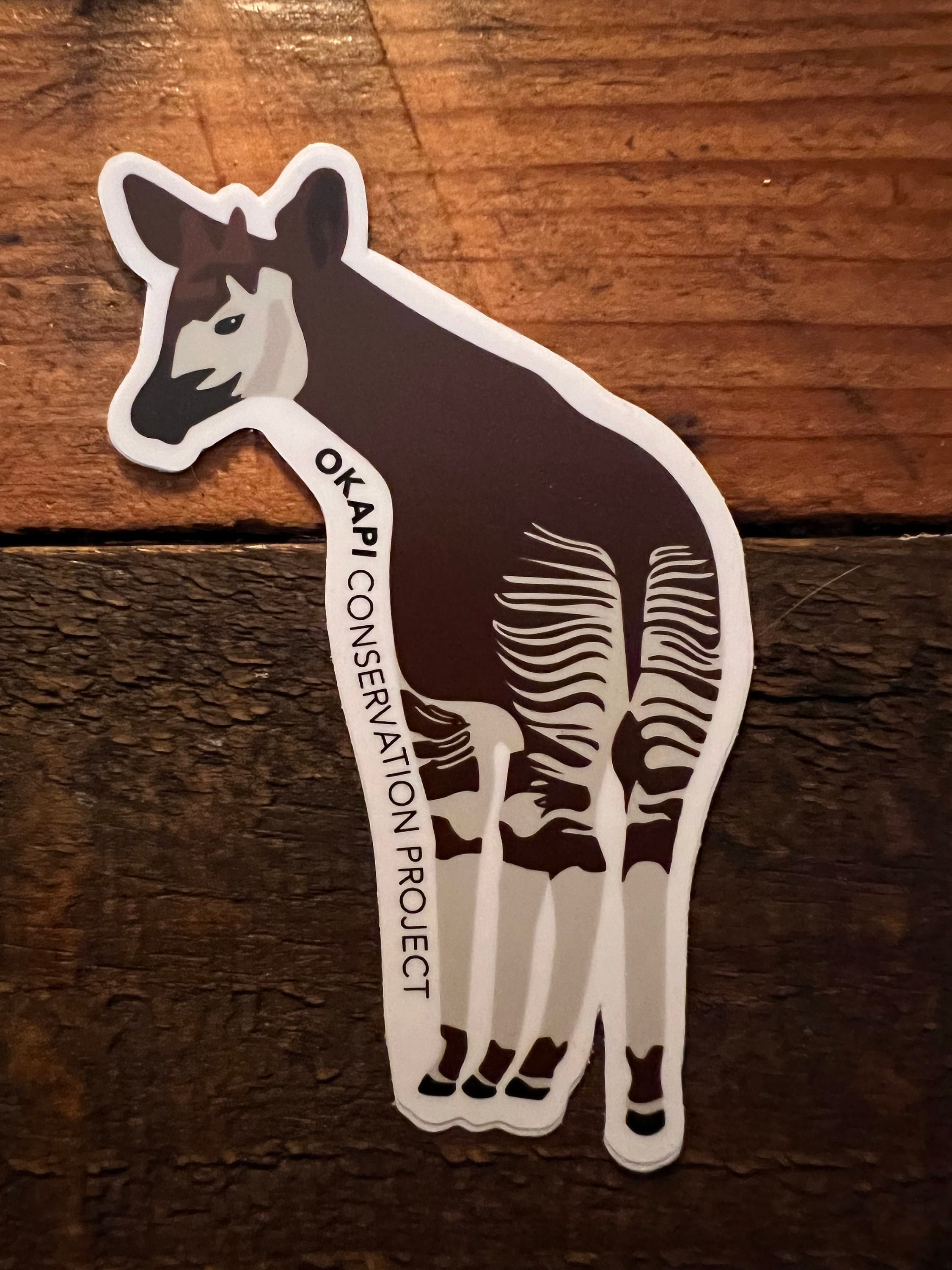 Poppi the Okapi Hardcover Children's Book, Okapi Sticker and Free Digital Download Coloring Book ...