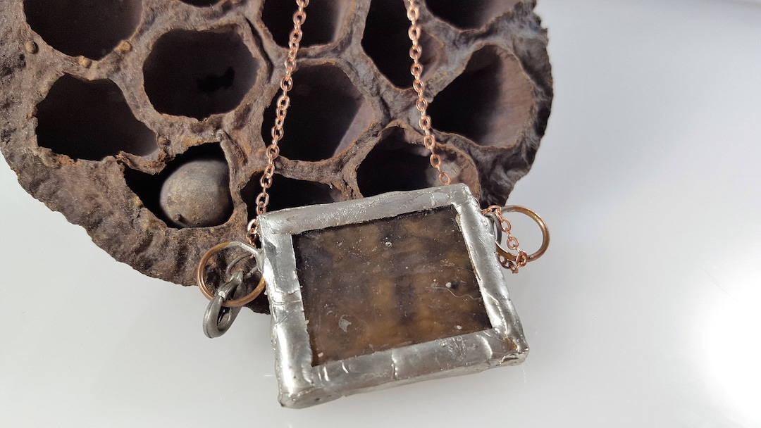 Tortoise Shell Wunderkammer Akupara Microscope Slide Necklace - Etsy