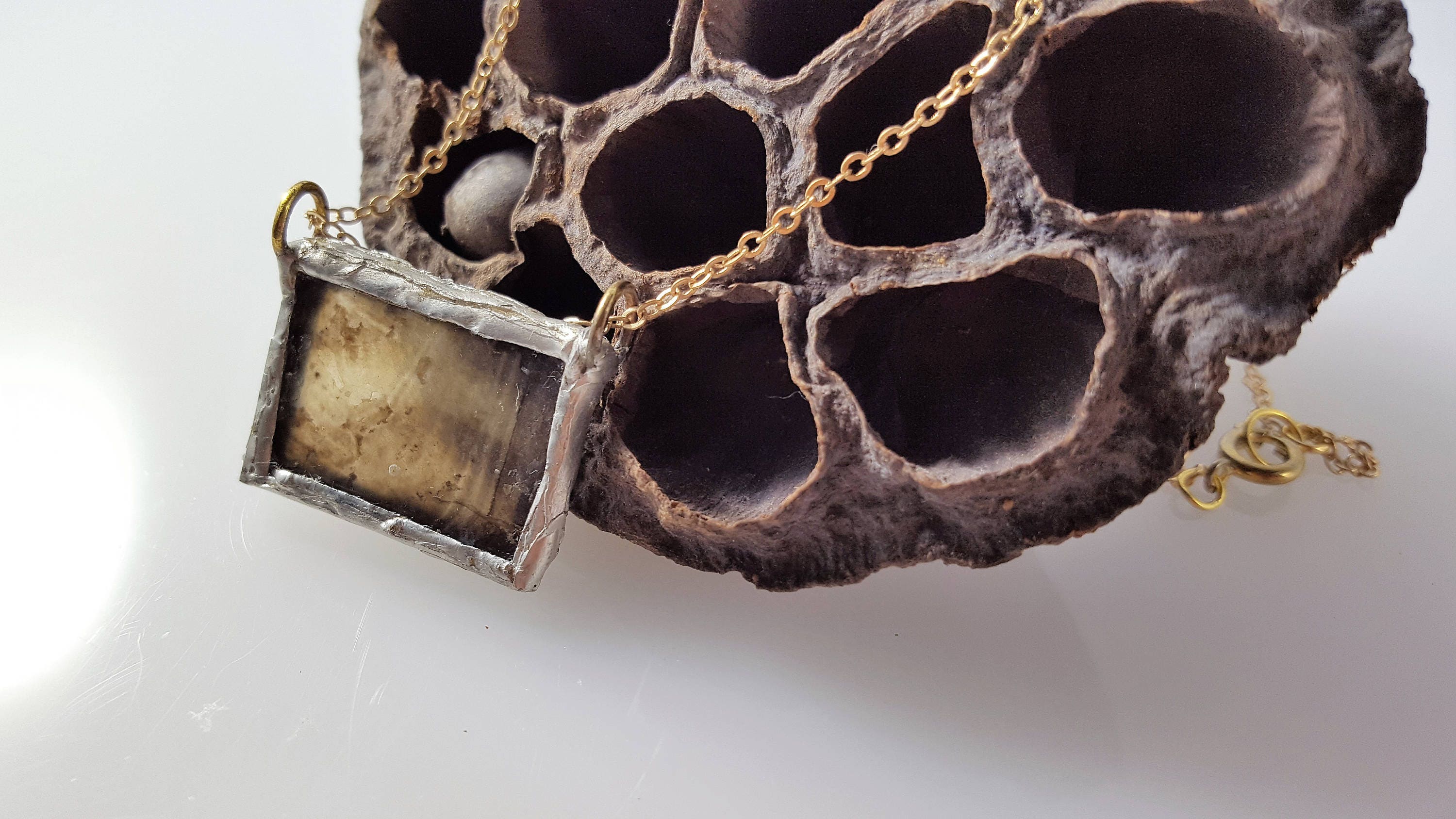 Tortoise Shell Wunderkammer Akupara Microscope Slide Necklace - Etsy