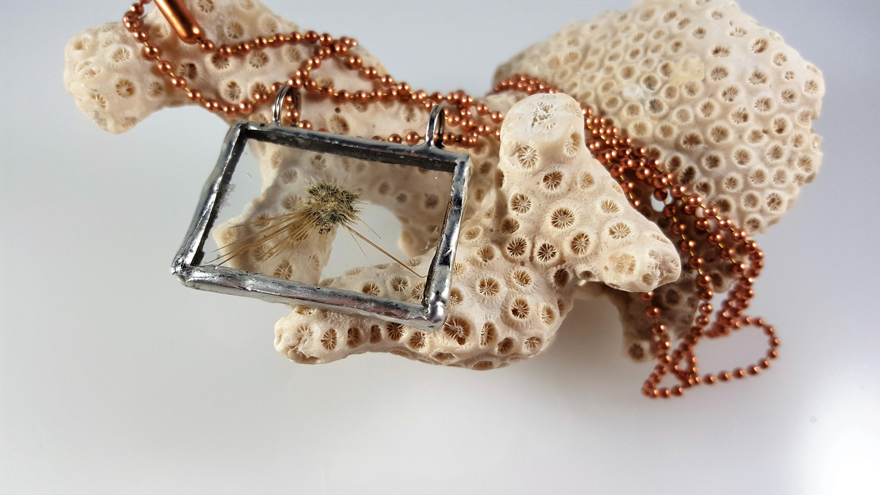 Cactus Spine Wunderkammer Tenochtitlan Microscope Slide - Etsy