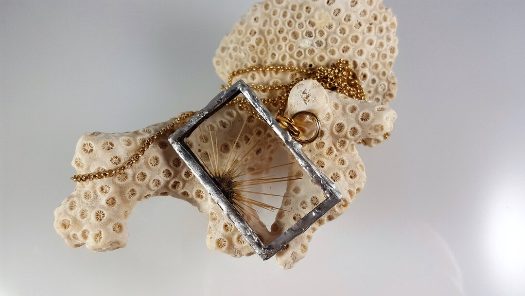 Cactus Spine Wunderkammer Tenochtitlan Microscope Slide Necklace - Etsy