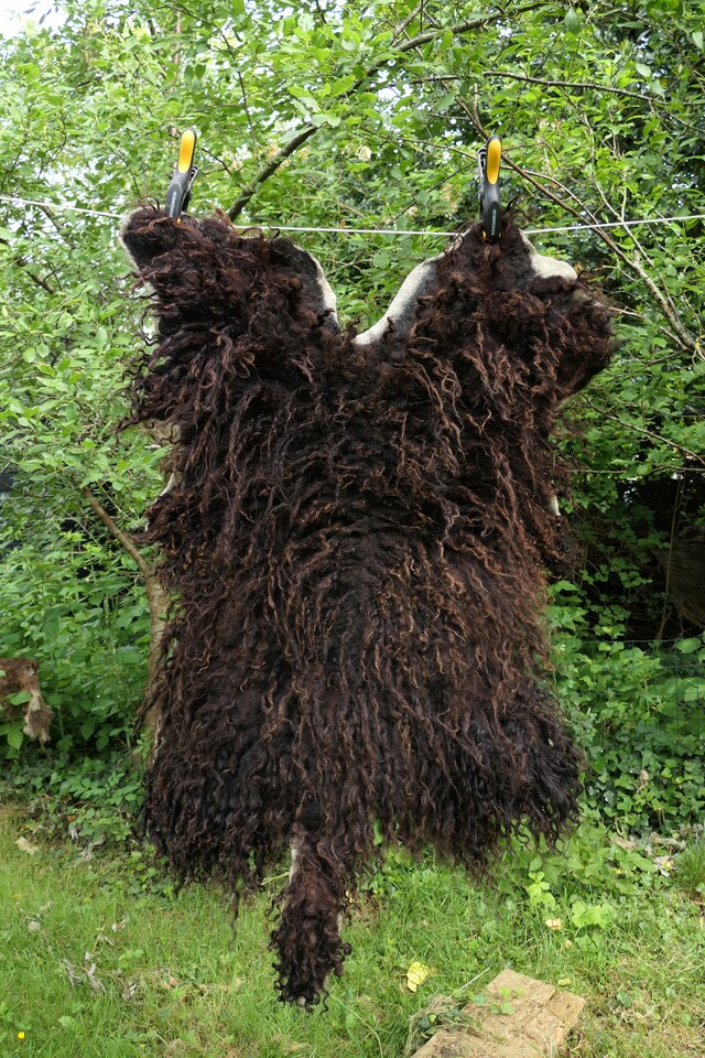 AnciWoolWorks - Etsy