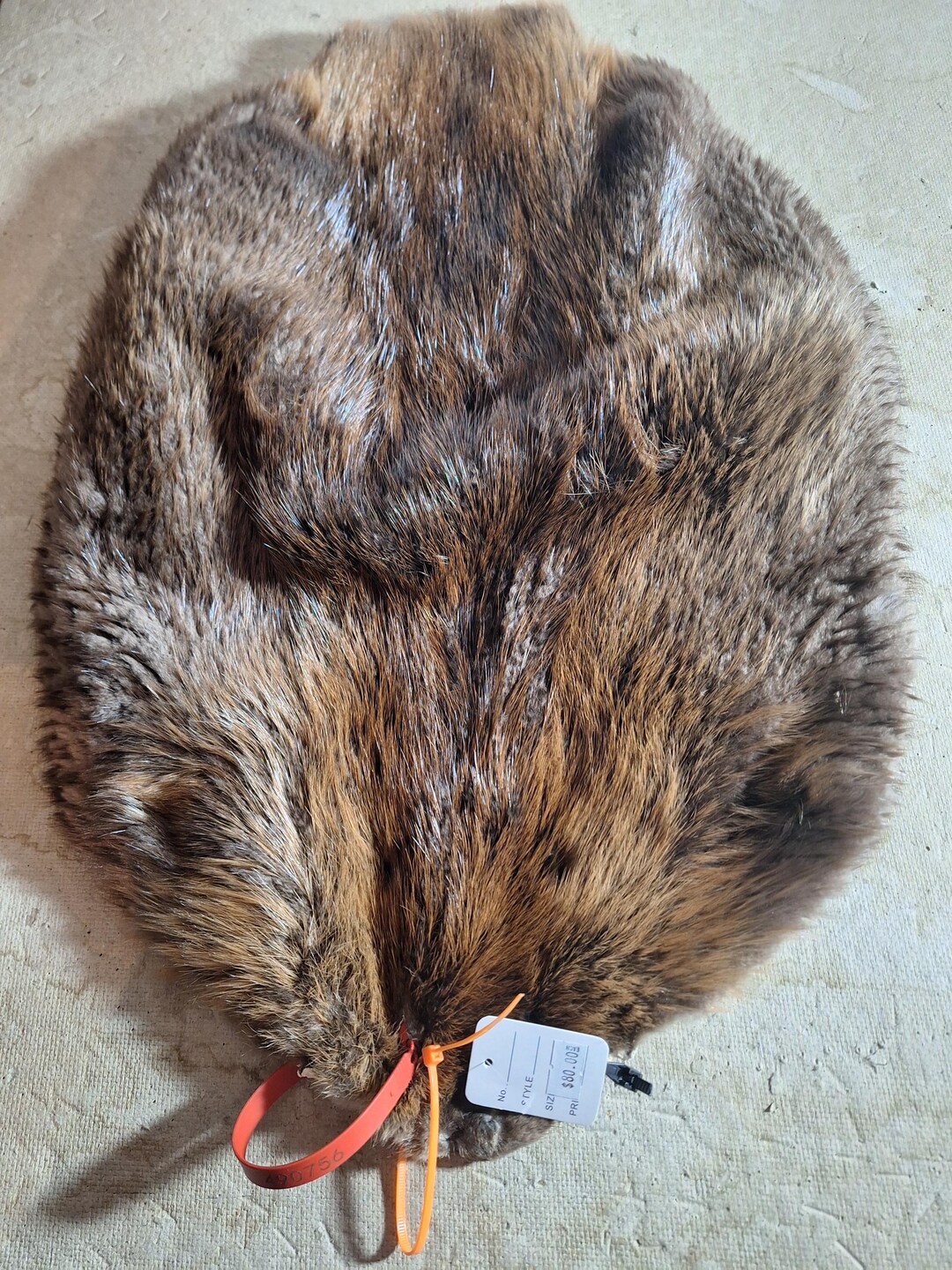 Beaver Pelt Fur Skin Tanned Trap Native American Cabin Decore Taxidermy ...