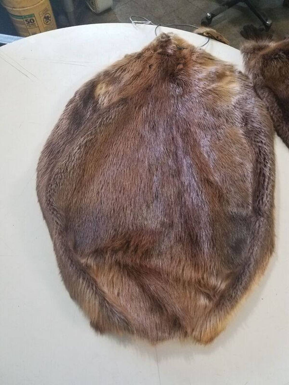 Beaver fur pelt hide trap hunt cabin native american taxidermy | Etsy