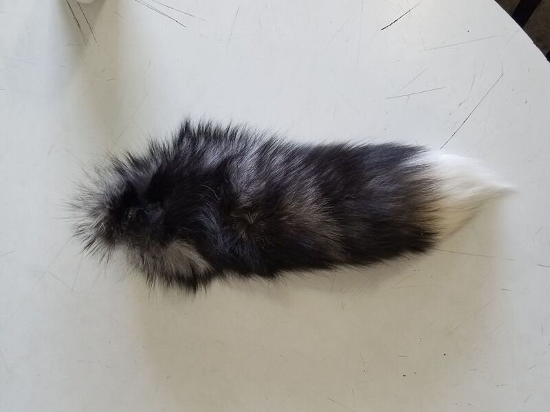 Fur Tails fur pelt taxidermy craft native american leather | Etsy