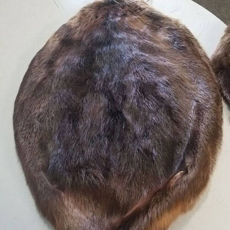 Beaver Pelt - Etsy