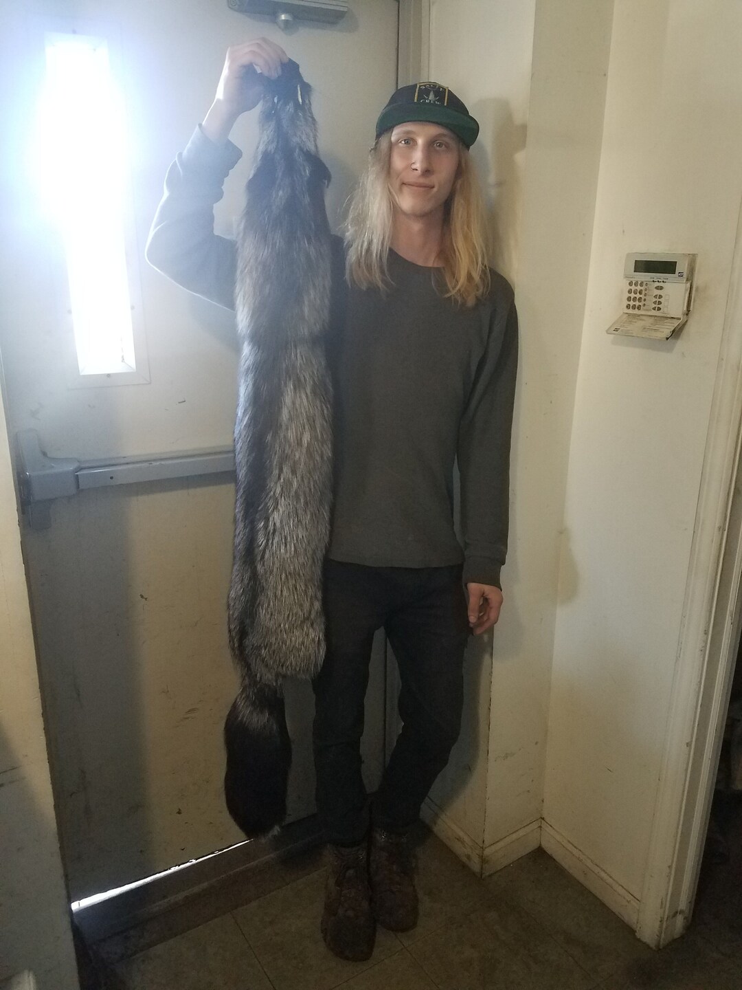 Ranch Silverfox Fur Pelt Taxidermy Native American Trap Cabin ...