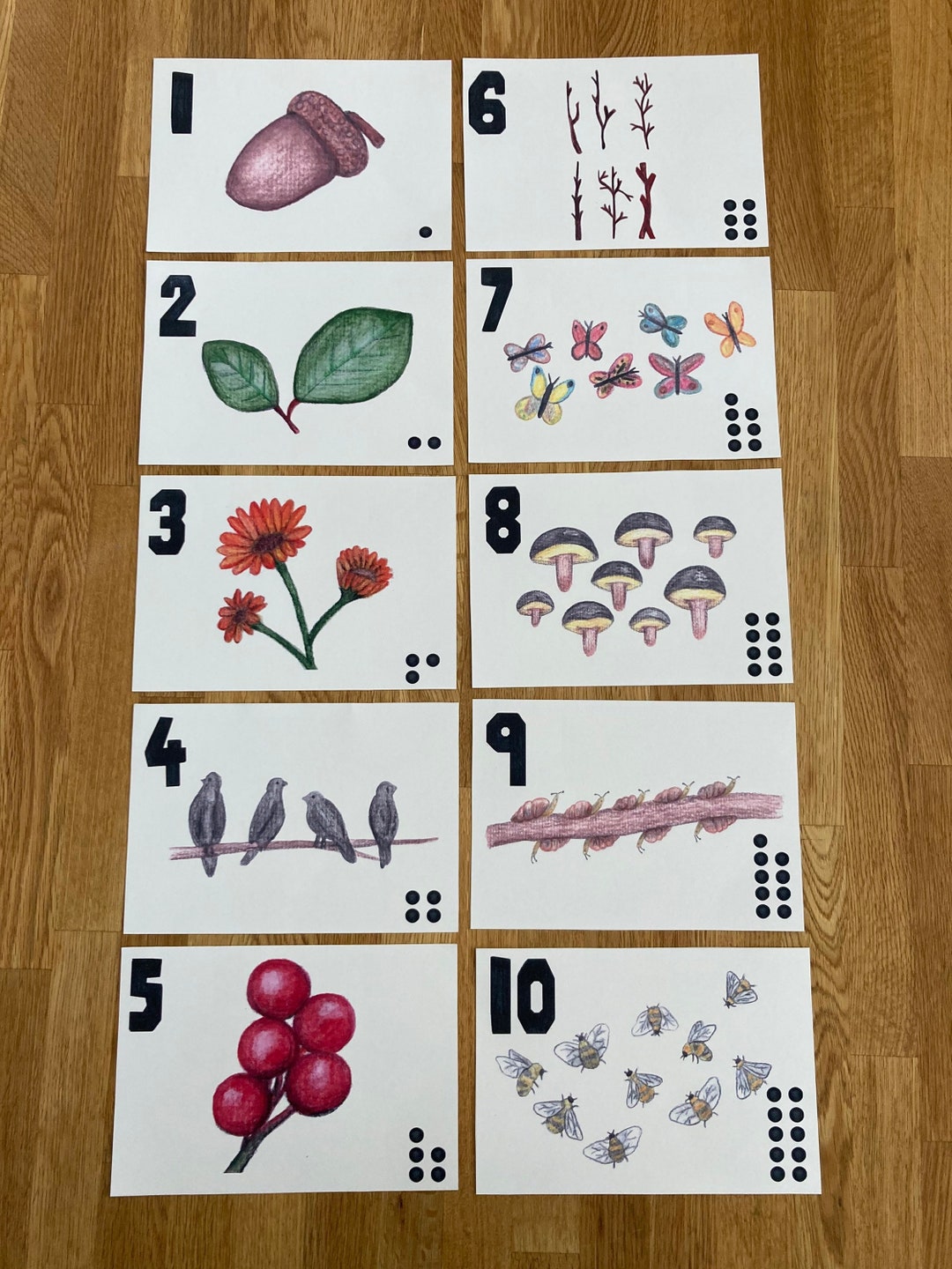Number Cards 1-10 / Nature Theme Flashcards / Early Number Recognition ...