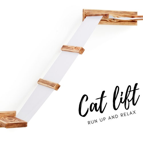 Large Wall Mounted Cat Shelf Play Platform With Bed Solid Etsy Uk