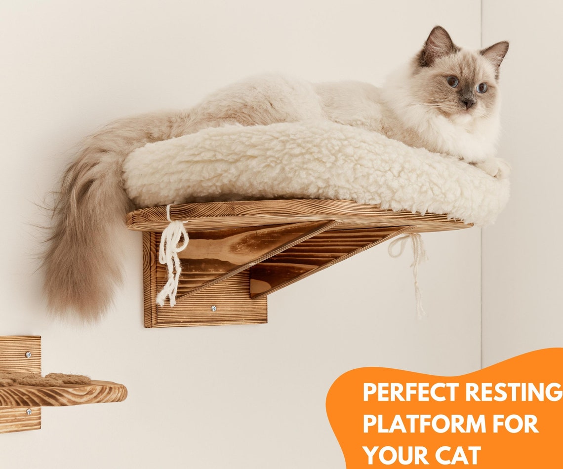 Large Wall Mounted Floating Cat Perch Bed With Pillow and Paw - Etsy