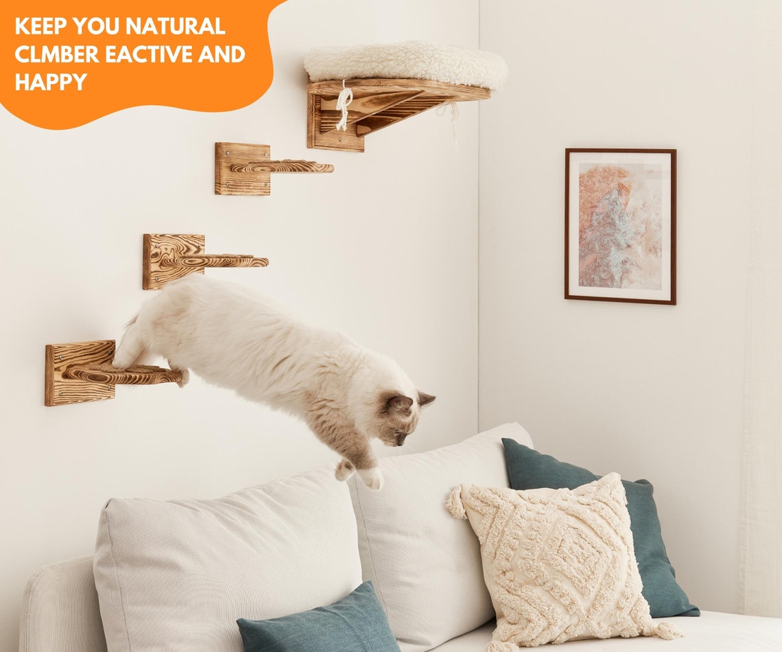 Large Wall Mounted Floating Cat Perch Bed With Pillow and Paw - Etsy