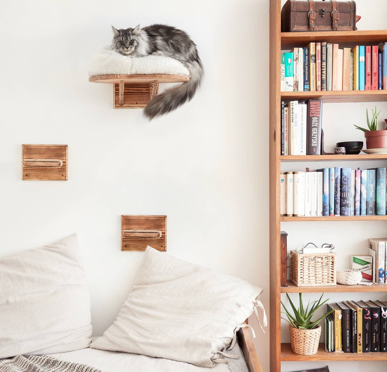 Large Wall Mounted Cat Perch Bed Platform Solid Wood Cat - Etsy