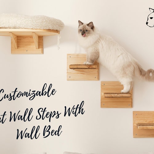 Large Wall Mounted Cat Shelf Play Platform With Bed Solid Etsy
