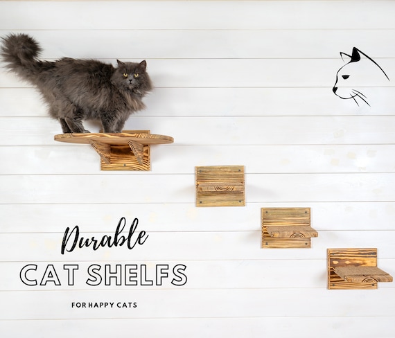 Large Wall Mounted Floating Cat Perch Bed Platform With Steps | Etsy