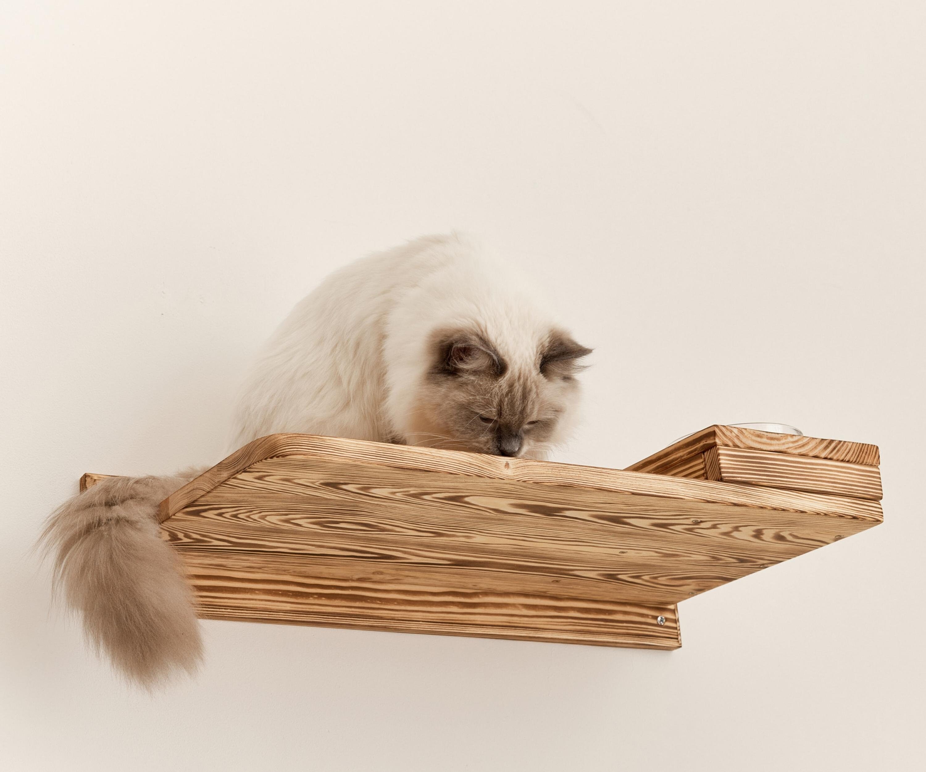 Wall Mounted Wood Cat Feeder Shelves Cat Feeding Shelf With 2 Etsy Uk