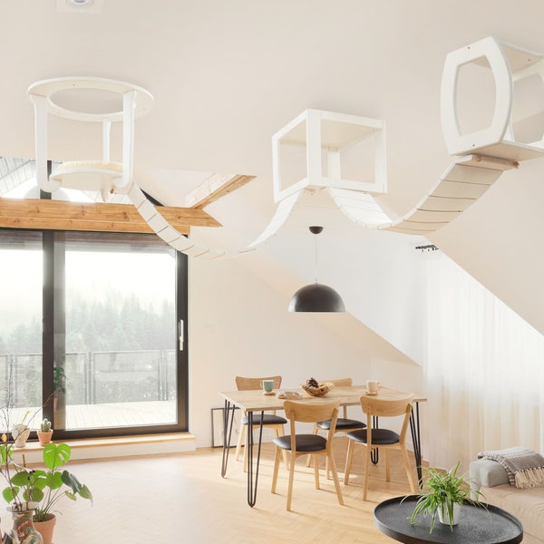 Cat Climbing Ceiling and Walls - Etsy