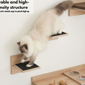 Wall Mounted Cat Steps Set, Square Cat Wall Shelves and Steps, Modern ...