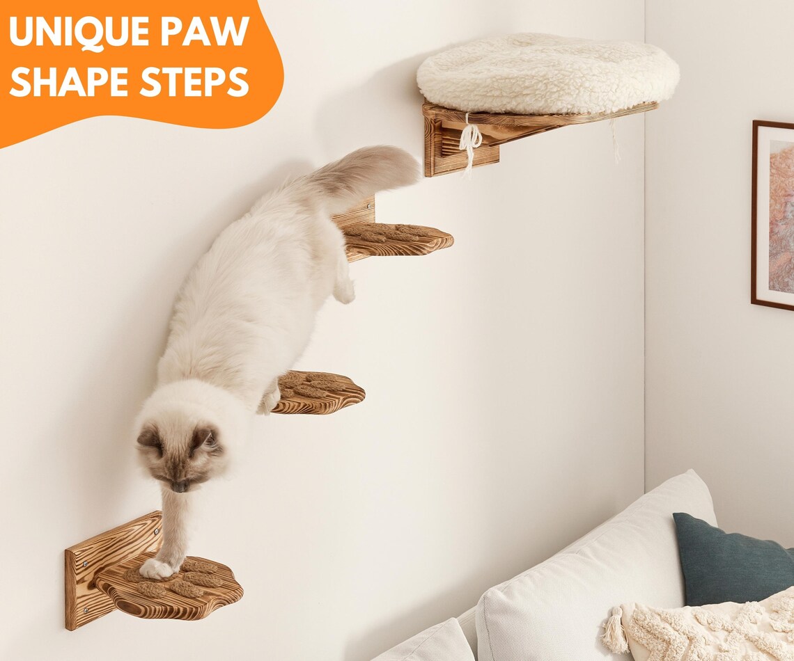 Large Wall Mounted Floating Cat Perch Bed With Pillow and Paw - Etsy