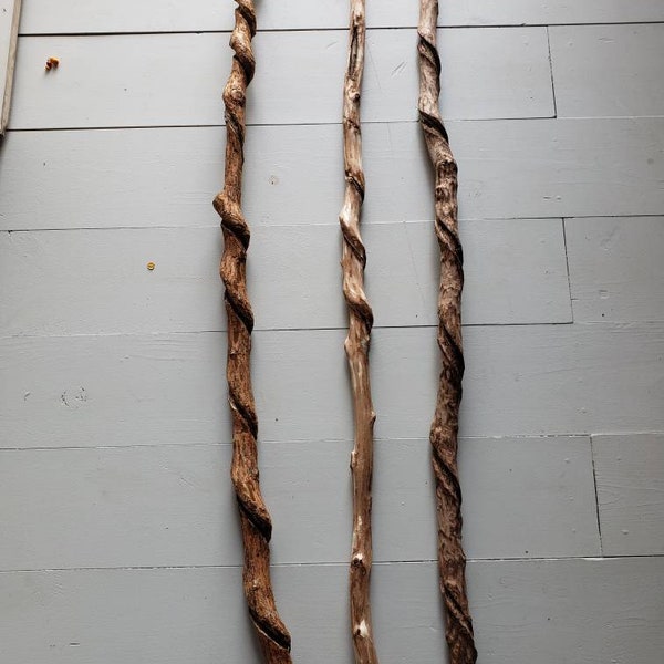 Wood Walking Stick - Etsy