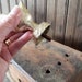 Vintage Brass Chicken Brass Decor - Etsy