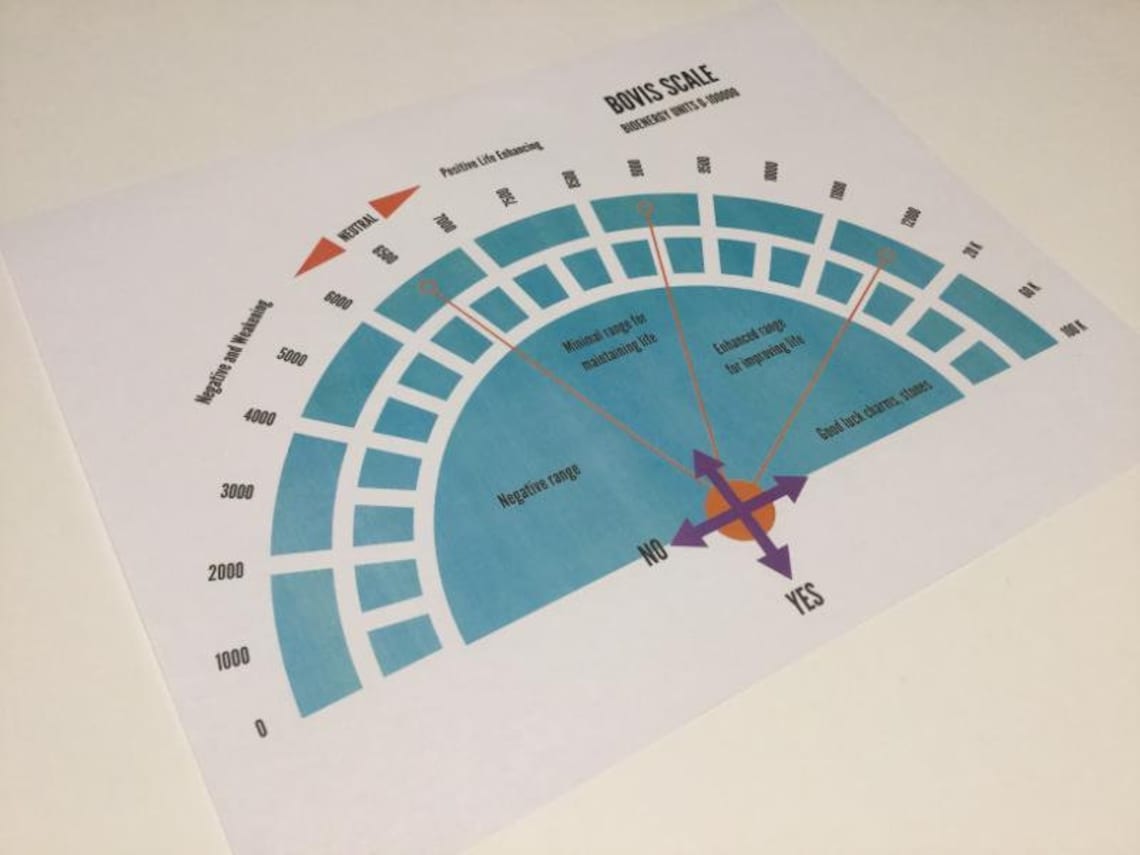 3 Bovis Scale Biometers - Etsy