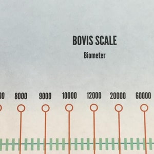 3 Bovis Scale Biometers - Etsy