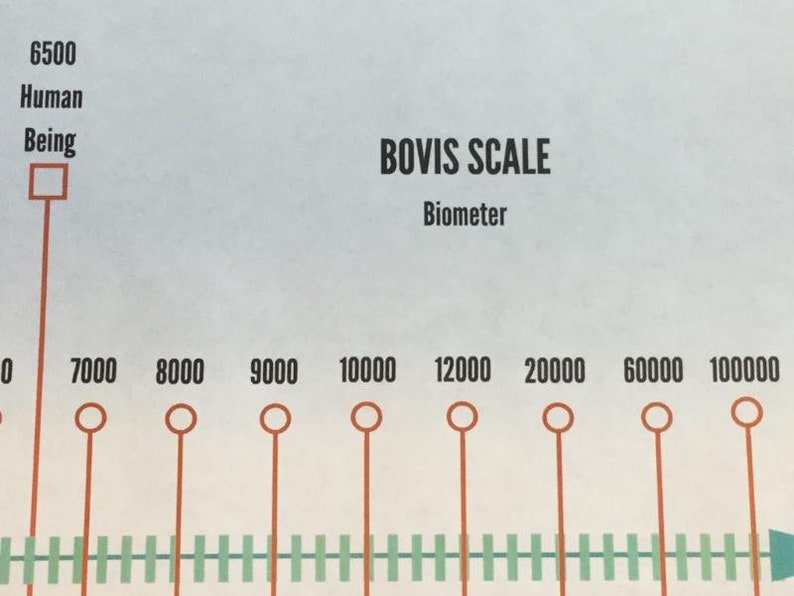 3 Bovis Scale Biometers | Etsy