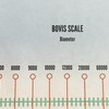 Bovis Scale Biometer - Etsy