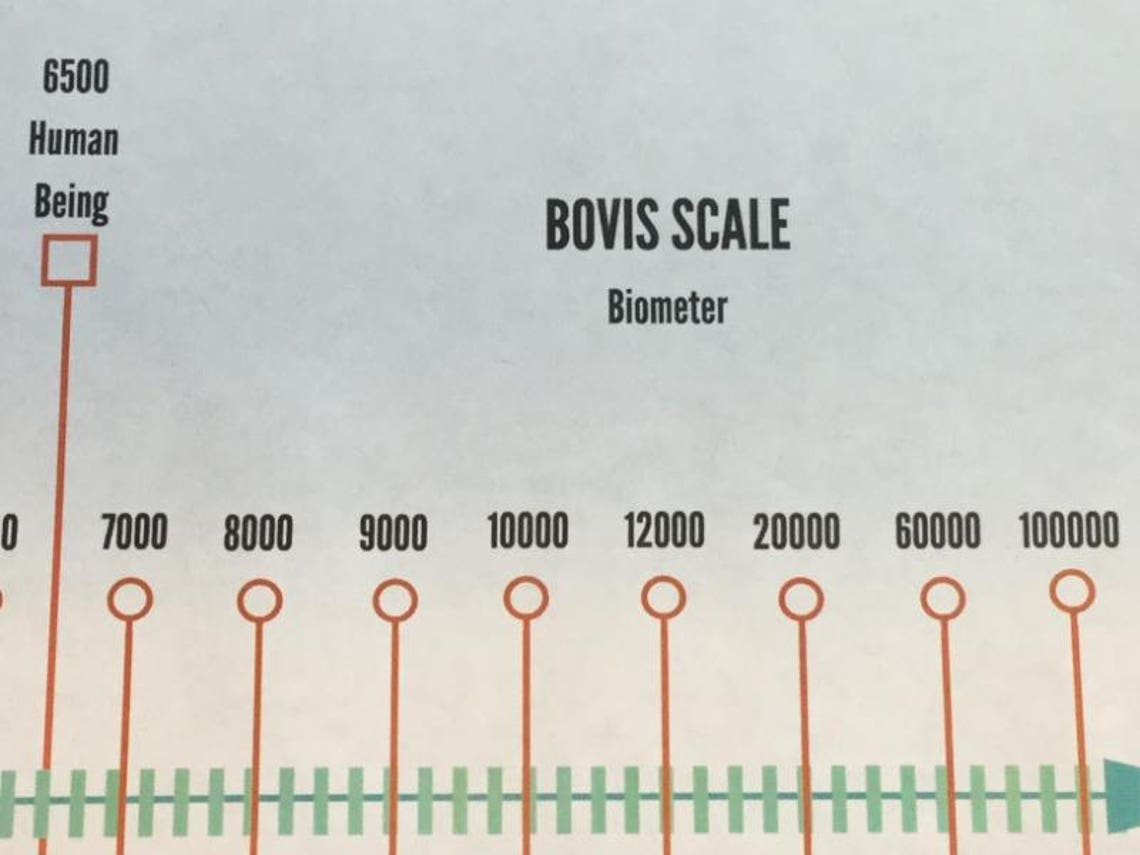 Bovis Scale Biometer - Etsy