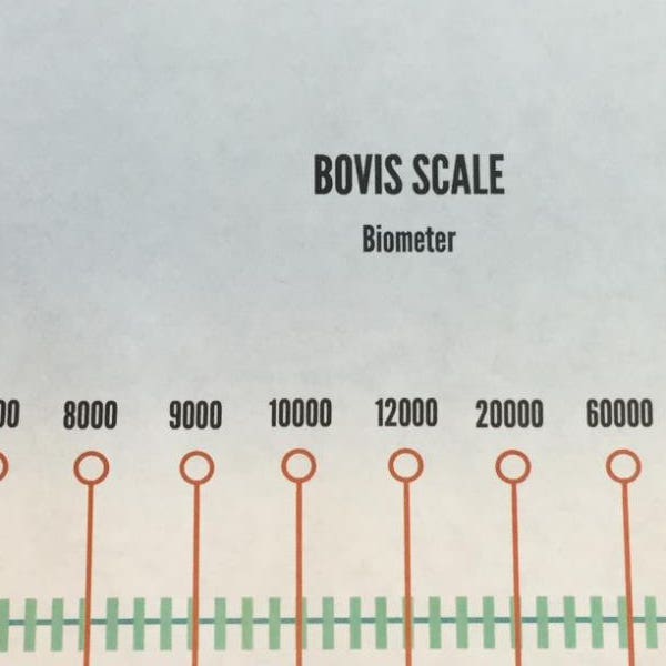 Bovis Scale Chart - Etsy Hong Kong