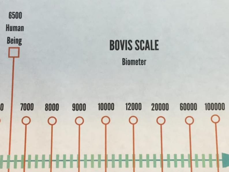 Bovis Scale Biometer - Etsy UK