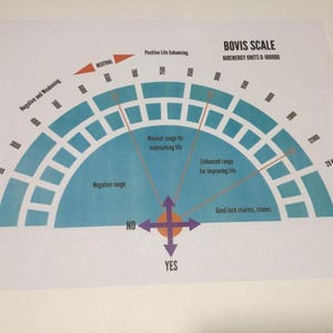 Bovis Scale Bioenergy Reader - Etsy Canada