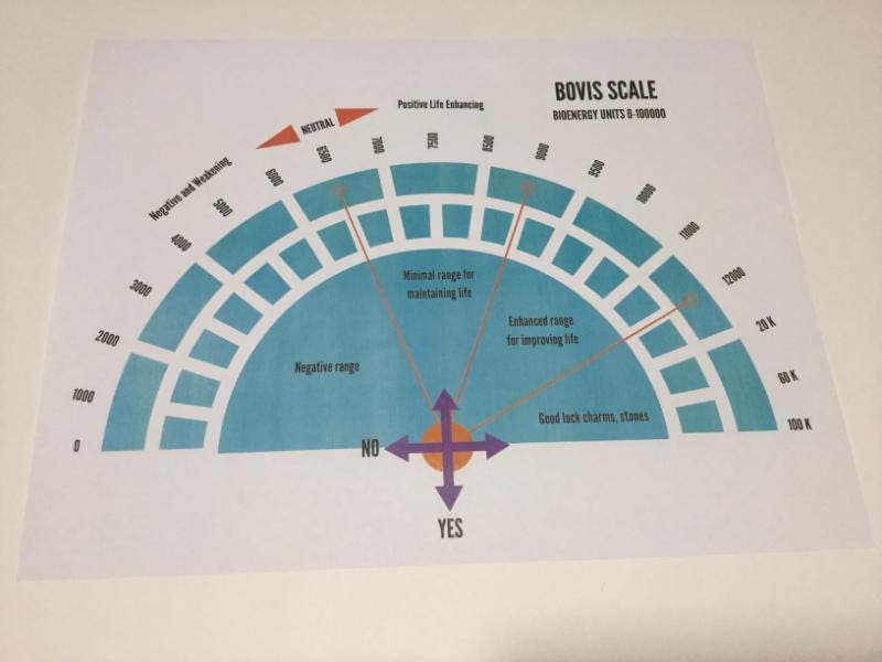 Bovis Scale Bioenergy Reader | Etsy