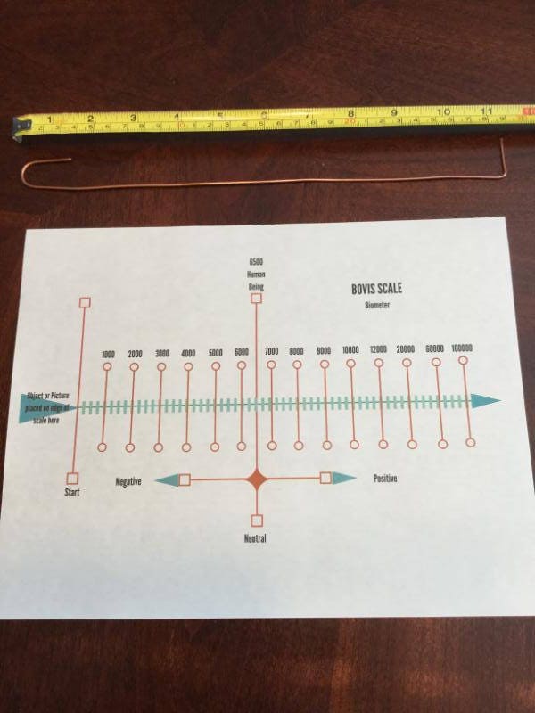 Bovis Scale Biometer | Etsy