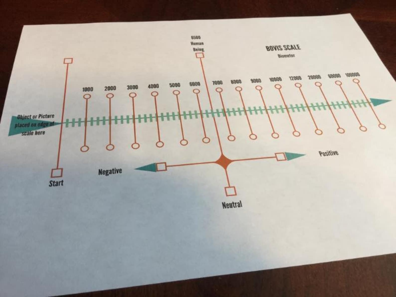 3 Bovis Scale Biometers - Etsy