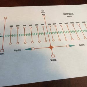 Bovis Scale Biometer - Etsy