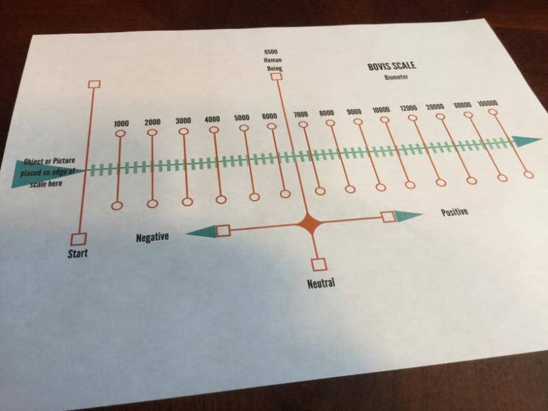 Bovis Scale Biometer - Etsy