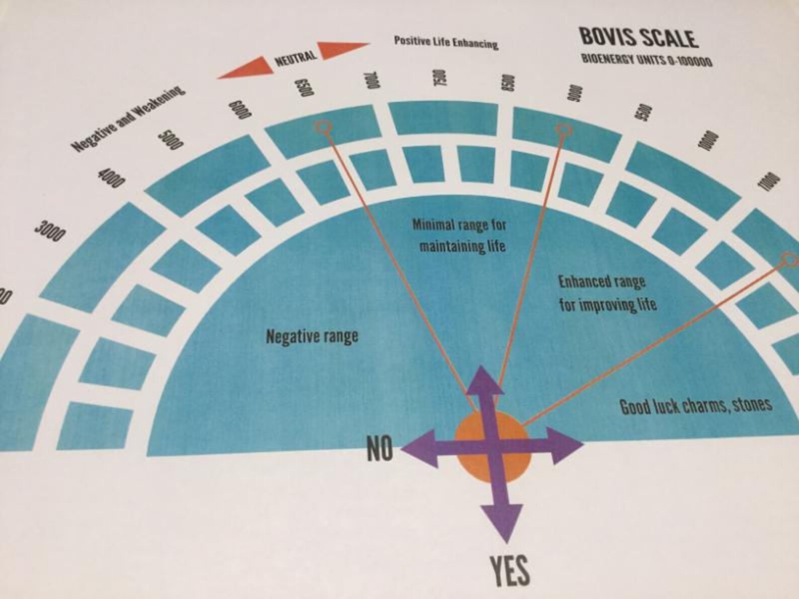 Bovis Scale Bioenergy Reader | Etsy Canada