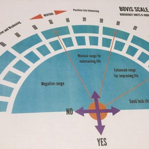 Bovis Scale Bioenergy Reader - Etsy Canada