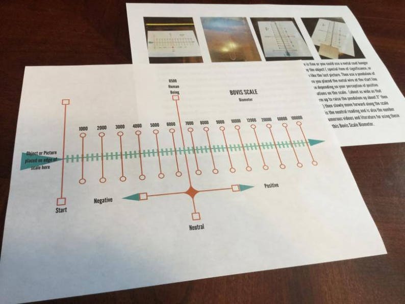 Bovis Scale Biometer - Etsy