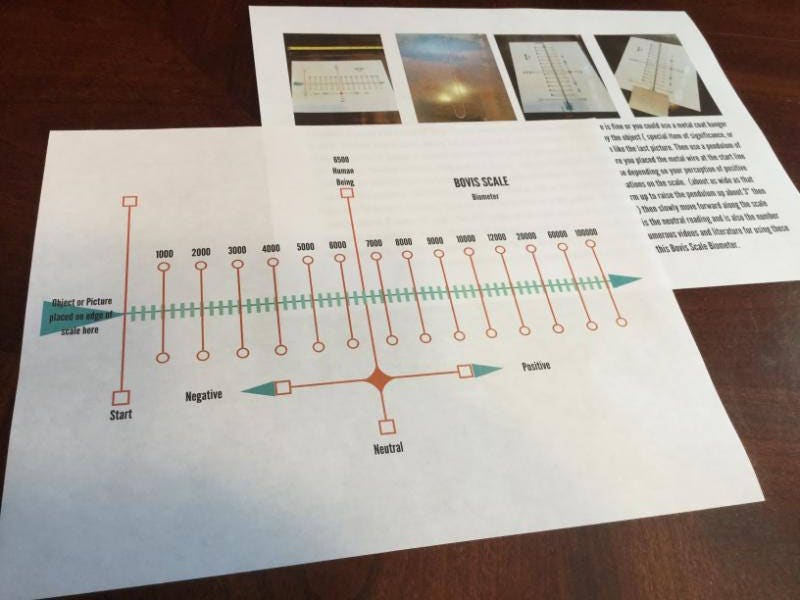 Bovis Scale Biometer - Etsy