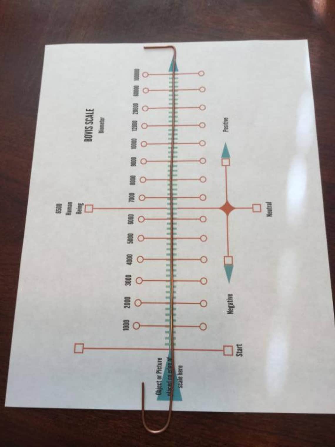 Bovis Scale Biometer - Etsy UK