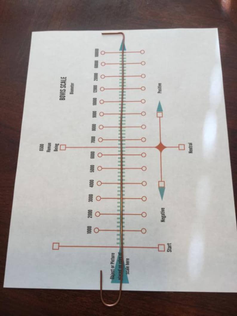 Bovis Scale Biometer - Etsy