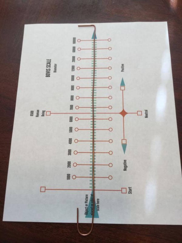 Bovis Scale Biometer | Etsy