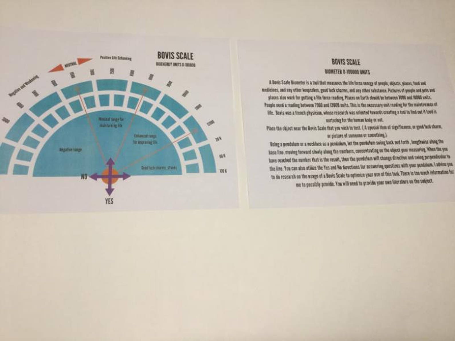 Bovis Scale Bioenergy Reader - Etsy Canada